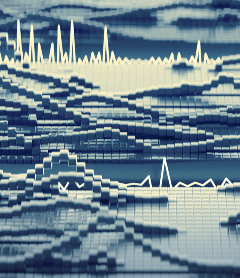 Sectors & Services - Ciesco