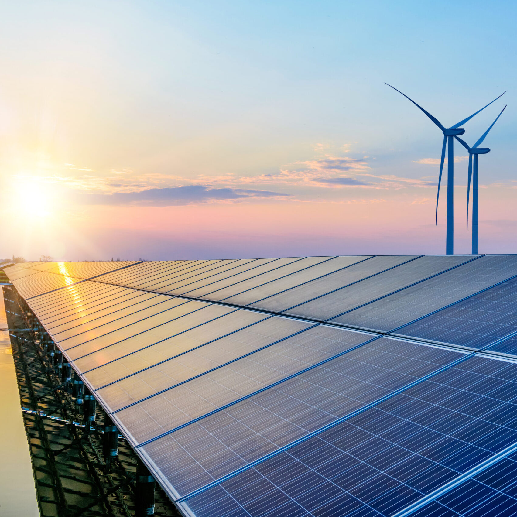 Sectors & Services - Ciesco